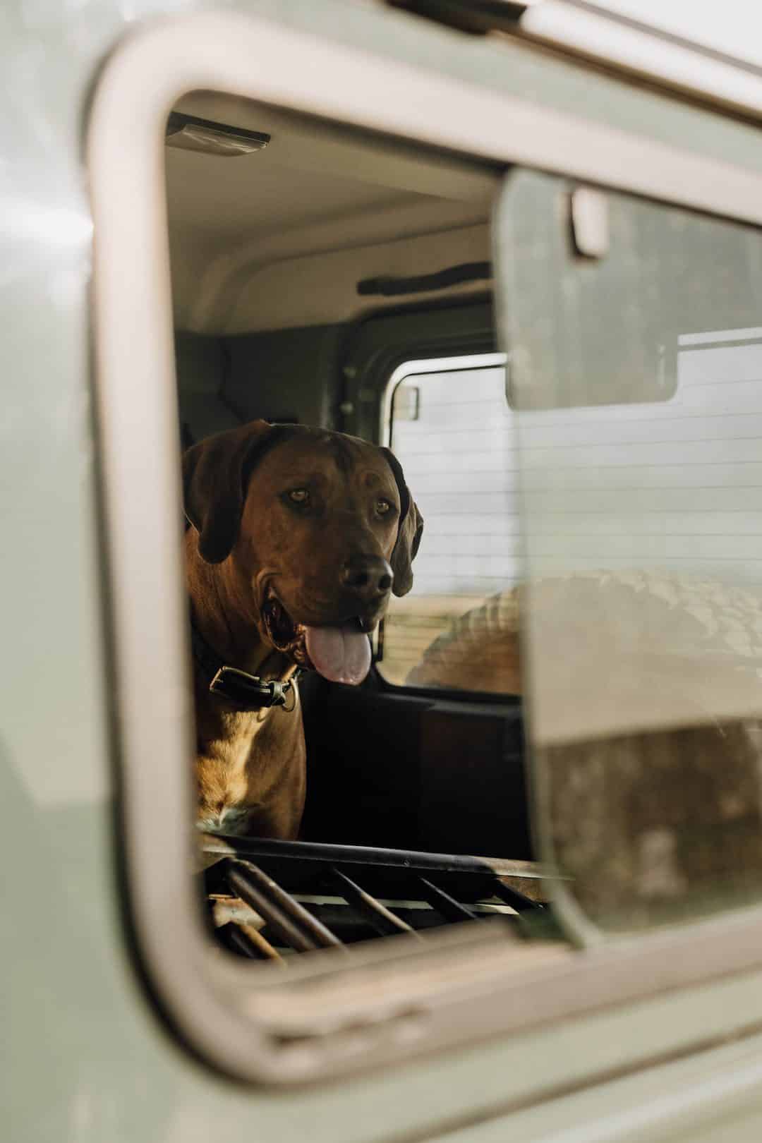 Grain Fields - ROF-Style